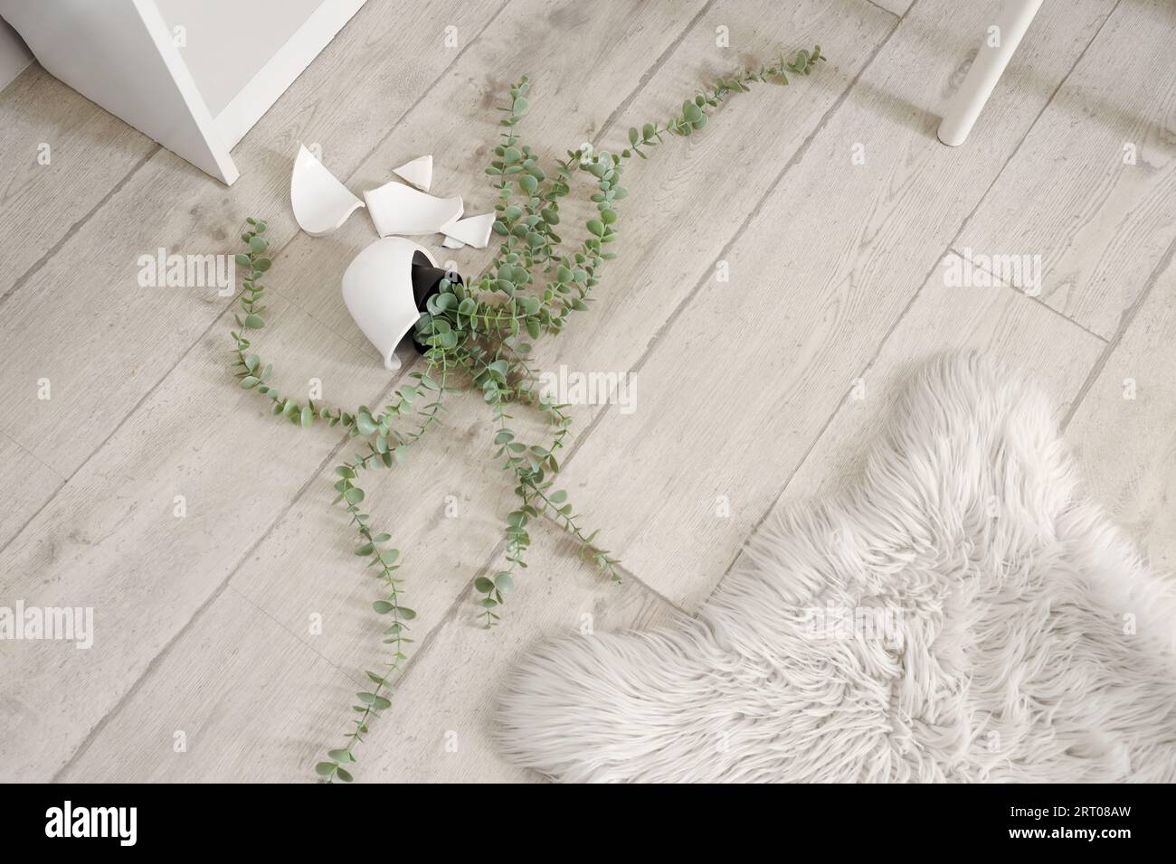 Broken pot with plant on floor in messy room Stock Photo - Alamy