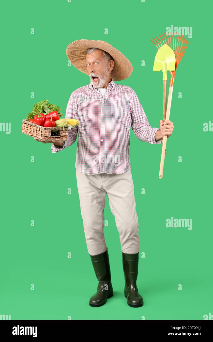 Mature male farmer with wicker basket full of different ripe vegetables ...
