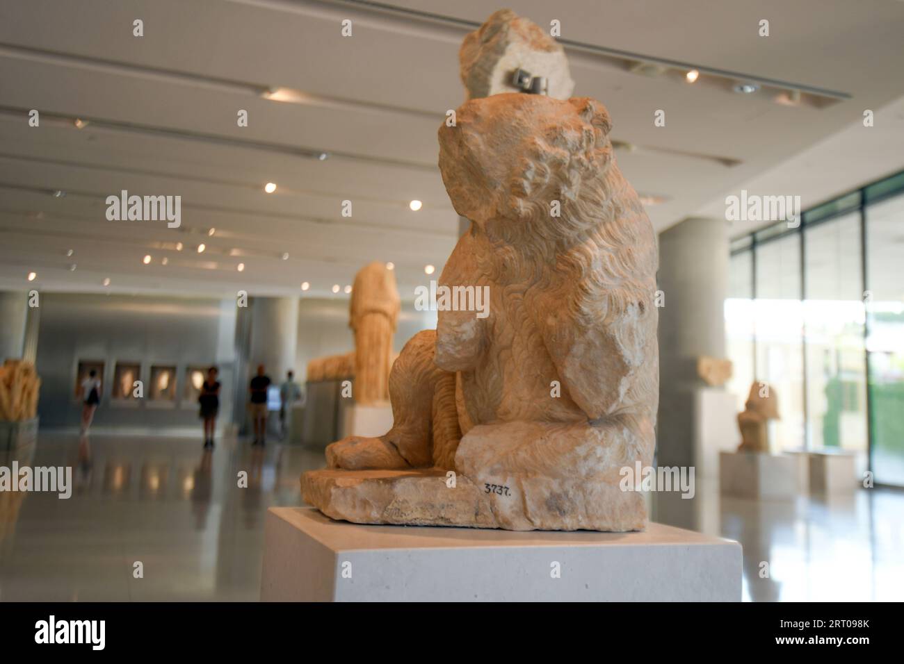 Acropolis Museum, Athens. Greece Stock Photo - Alamy