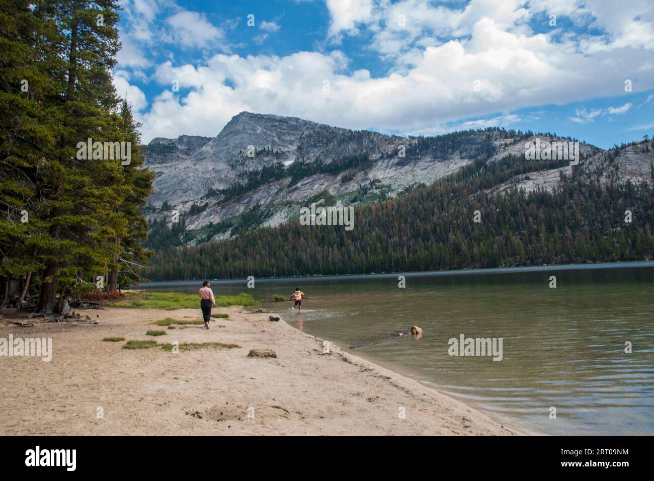 Temporary waterfalls form on the granite domes surrounding Tenaya Lake ...
