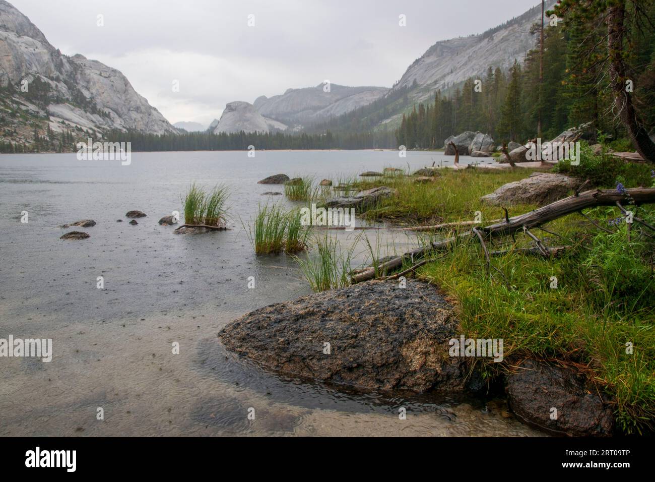 Temporary waterfalls form on the granite domes surrounding Tenaya Lake ...