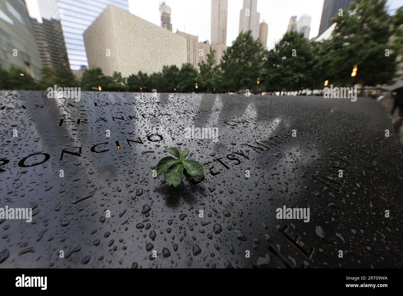 Flowers and US flags are laid on one of the North Pool panels at World ...