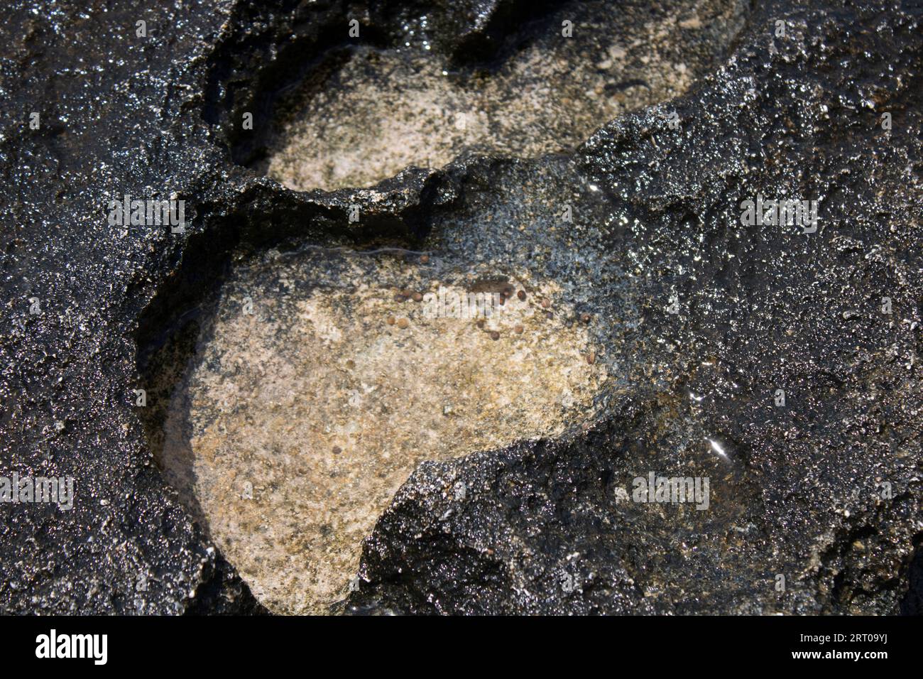 Laniakea Beach Rock Stock Photo - Alamy