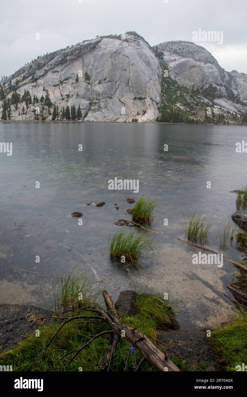 Temporary waterfalls form on the granite domes surrounding Tenaya Lake ...