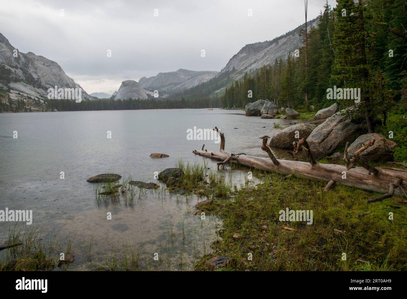 Temporary waterfalls form on the granite domes surrounding Tenaya Lake ...