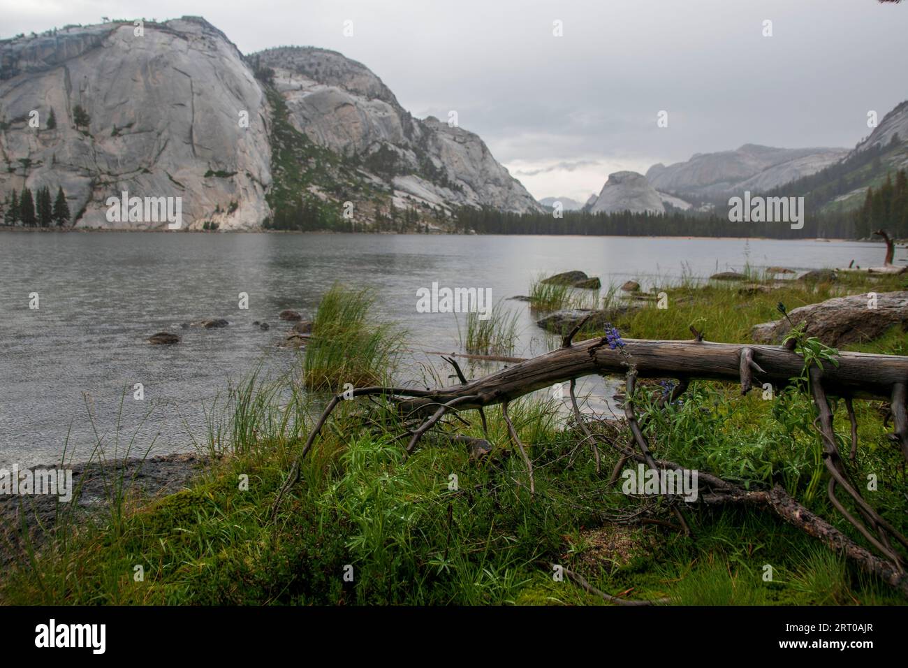 Tenaya lake boat hi-res stock photography and images - Alamy