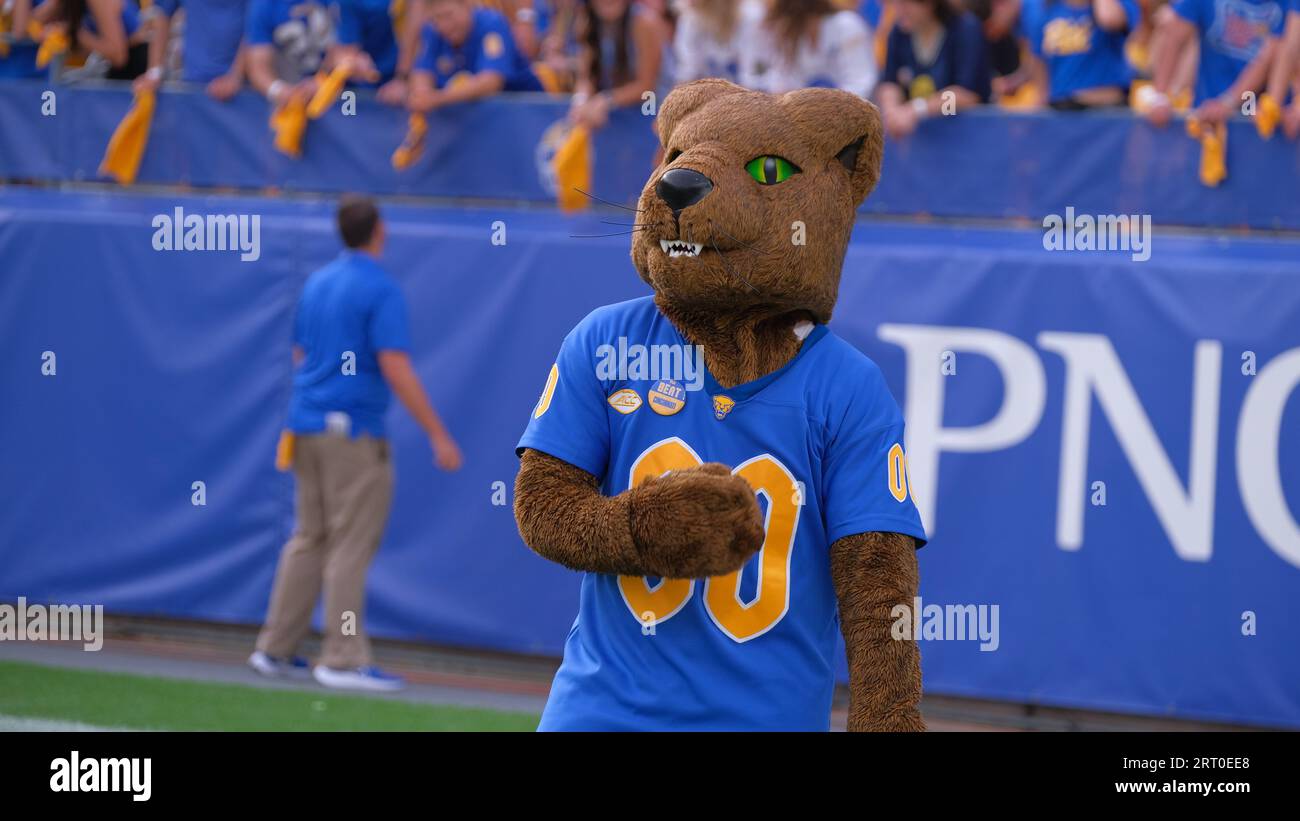 Cal roc hi-res stock photography and images - Alamy