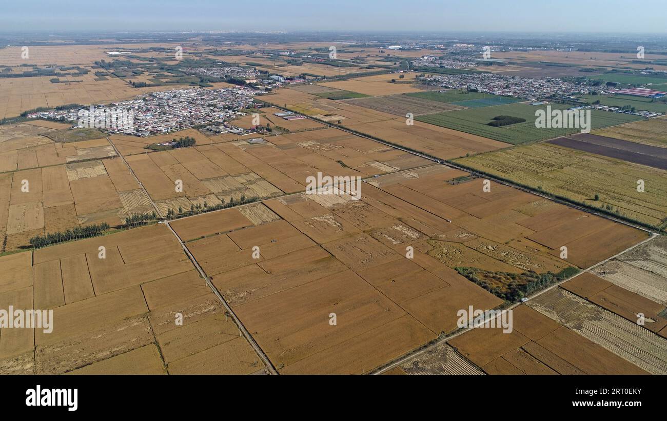 Aerial photos of rice fields in North China Plain Stock Photo - Alamy