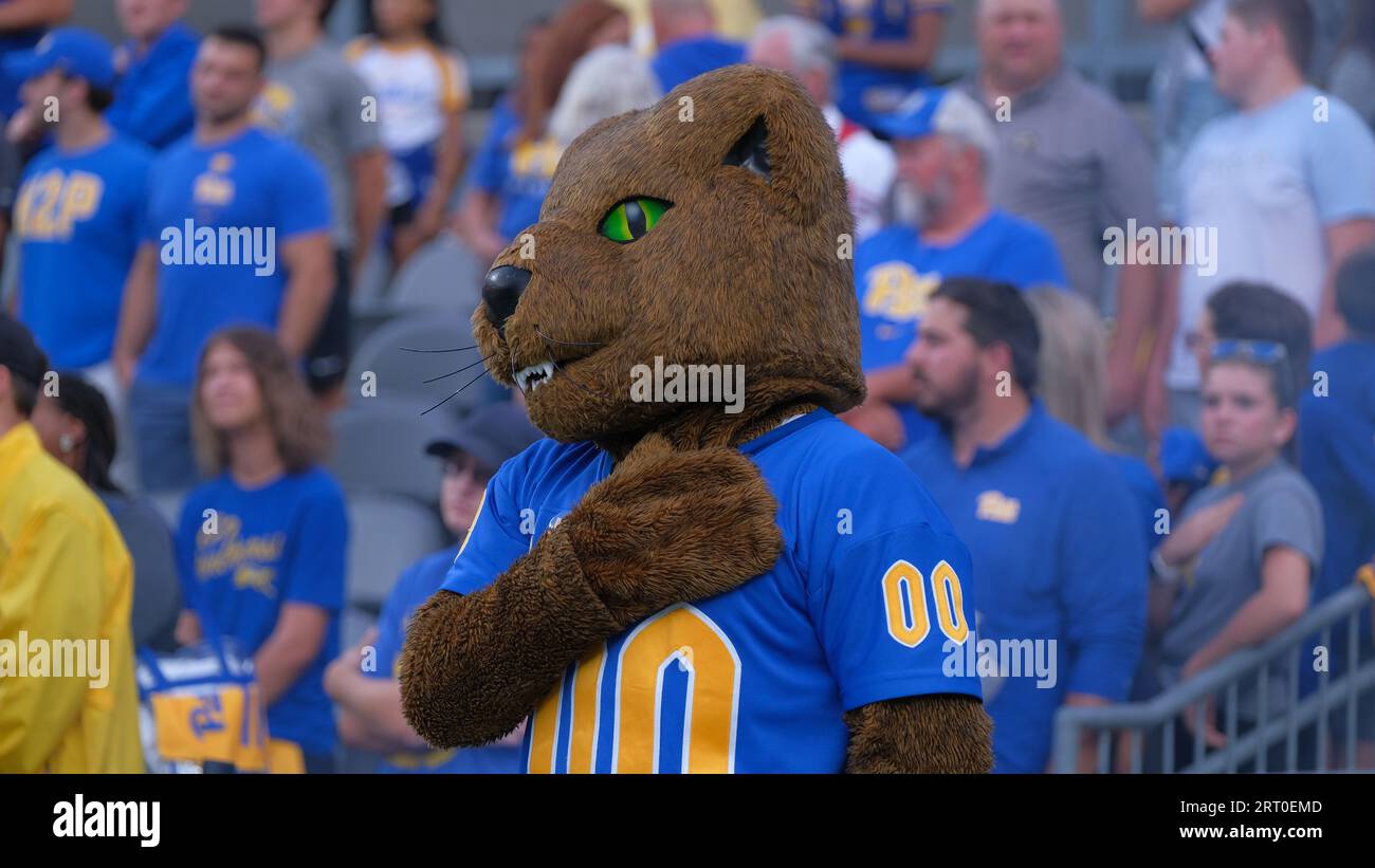 Cal roc hi-res stock photography and images - Alamy