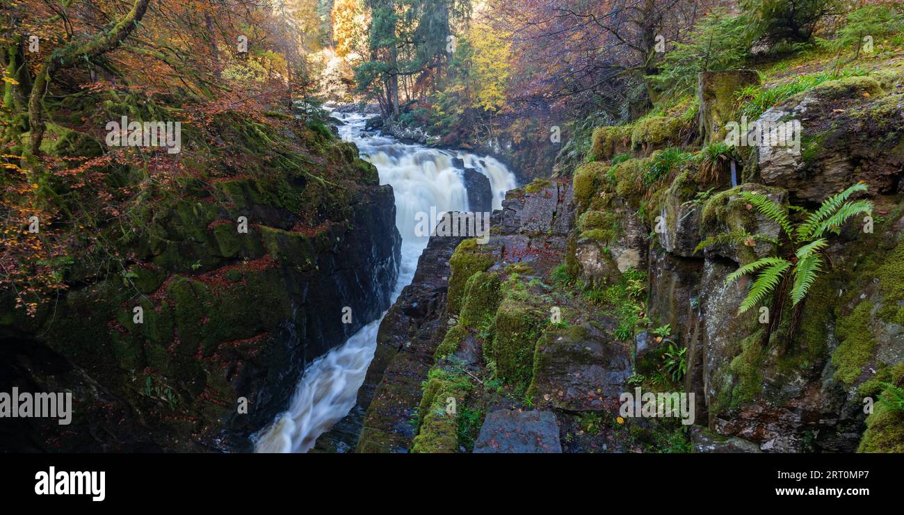 Tay forest park hi-res stock photography and images - Alamy