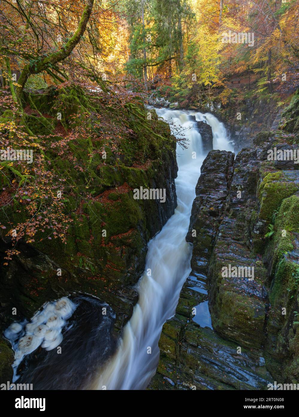 Hermitage woodland waterfall hi-res stock photography and images - Alamy