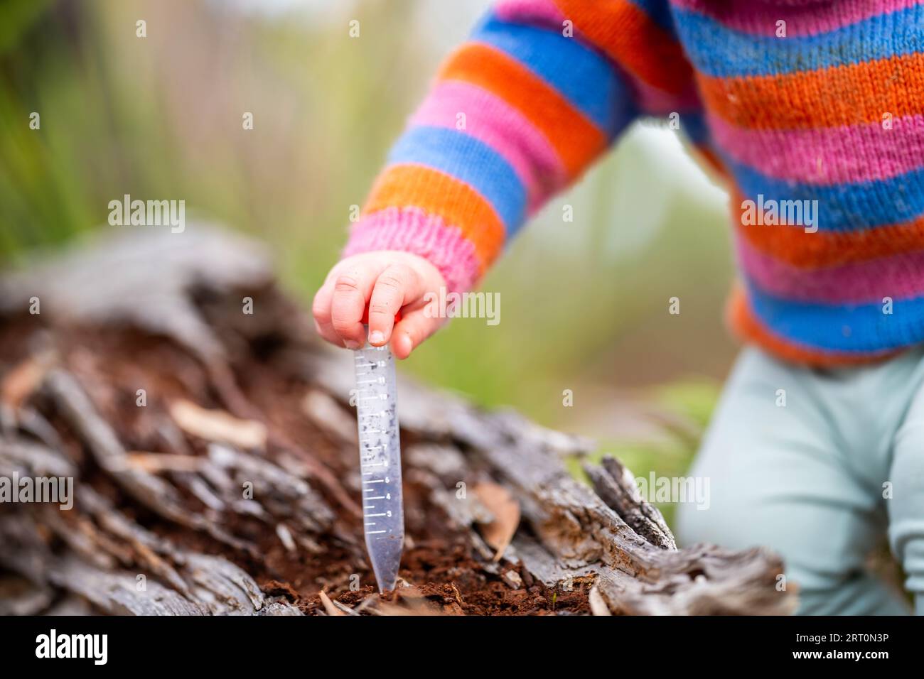 child doing science, toddler with test tubes outside in natural in the ...