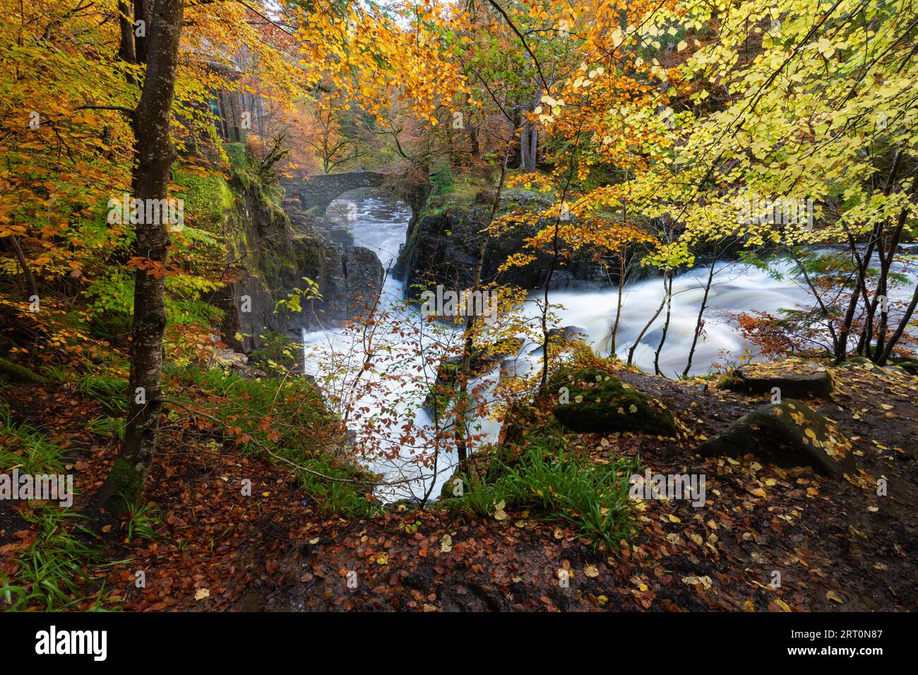 Waterfall on the River Braan in Craigvinean Forest in The Hermitage ...