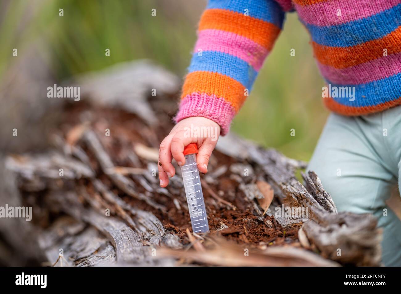 child doing science, toddler with test tubes outside in natural in the ...