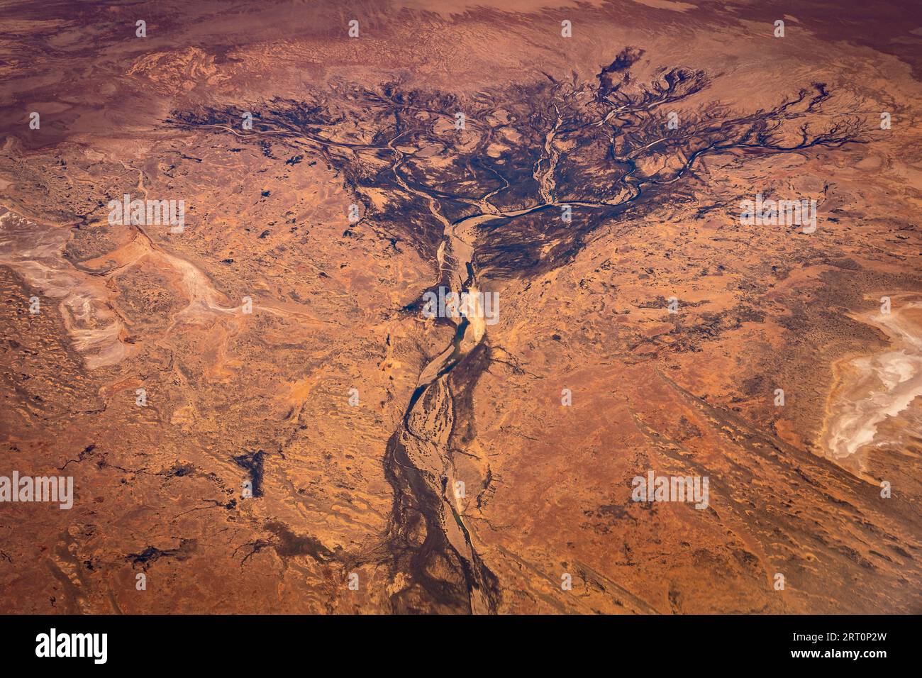 Aerial view of canyon and rivers resembling the shape of a tree of life ...