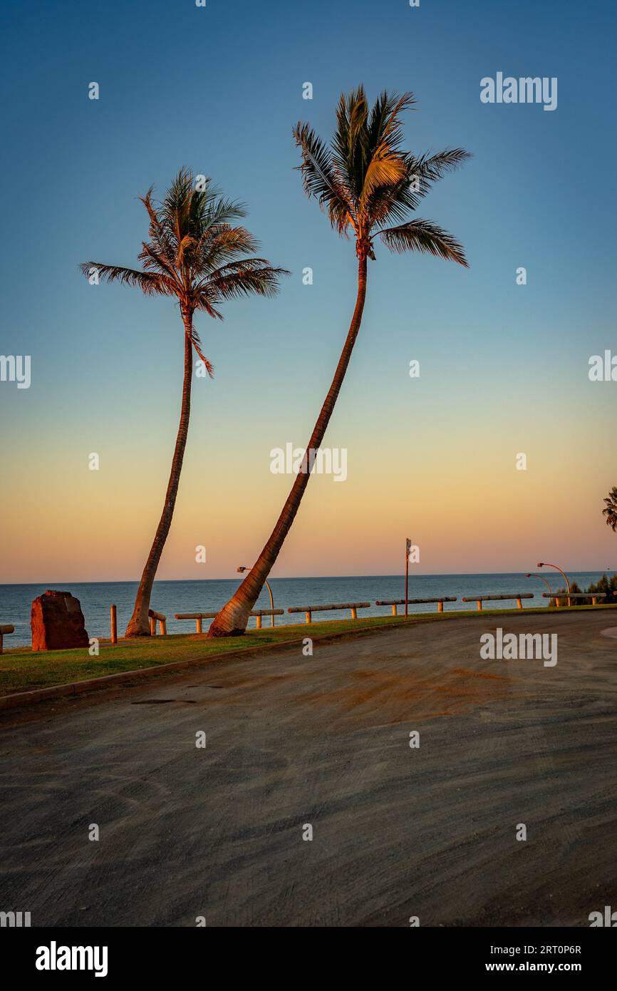 Trees near the beach hi-res stock photography and images - Alamy