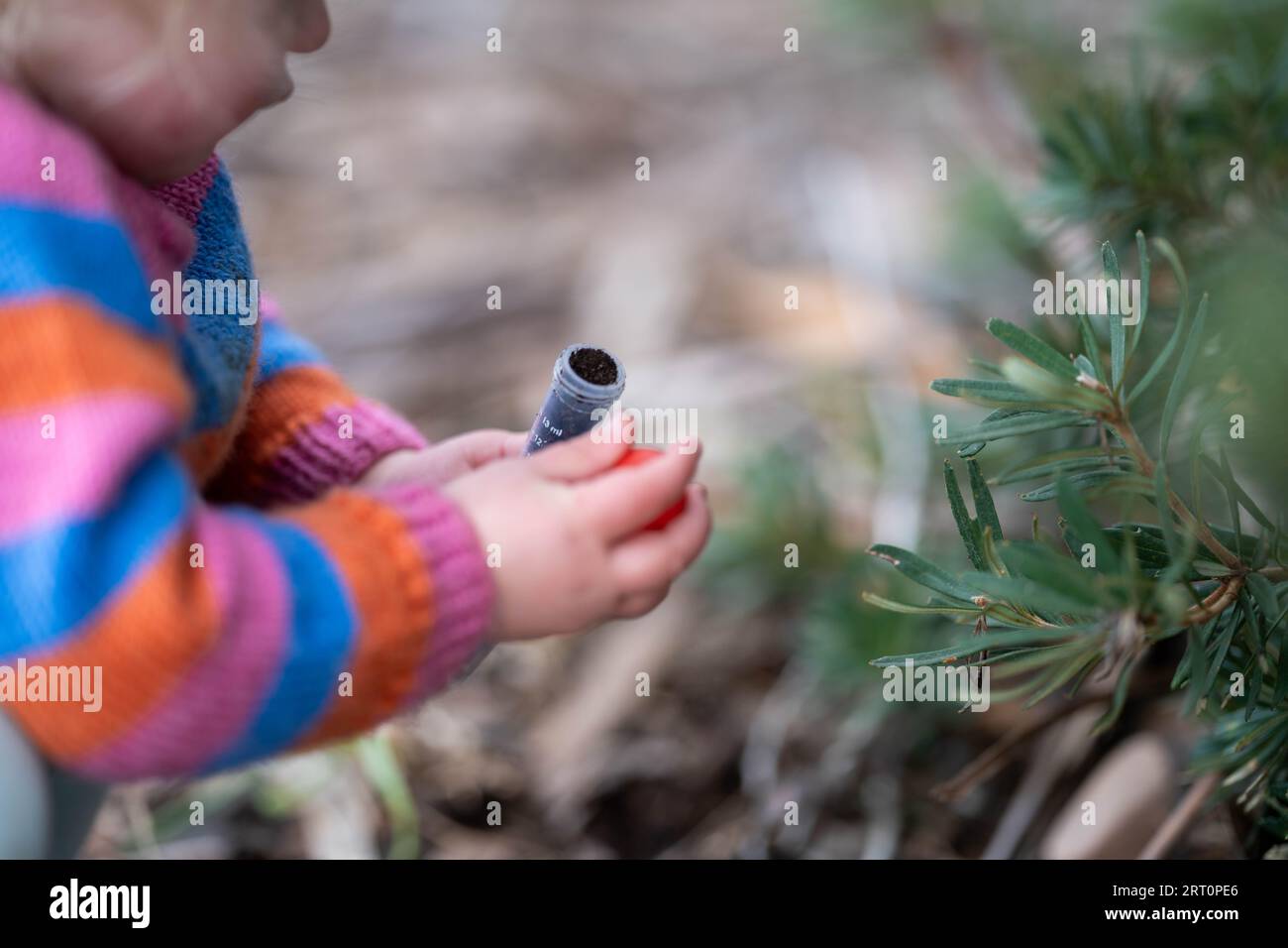child doing science, toddler with test tubes outside in natural in the ...