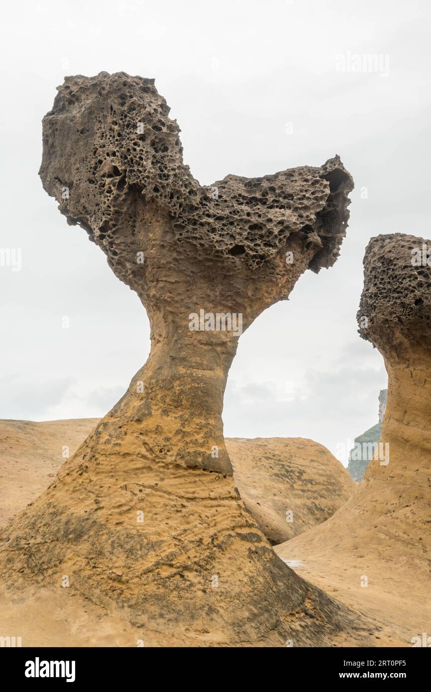 Rock formations in Yehliu Geopark, Taipei, Taiwan Stock Photo - Alamy