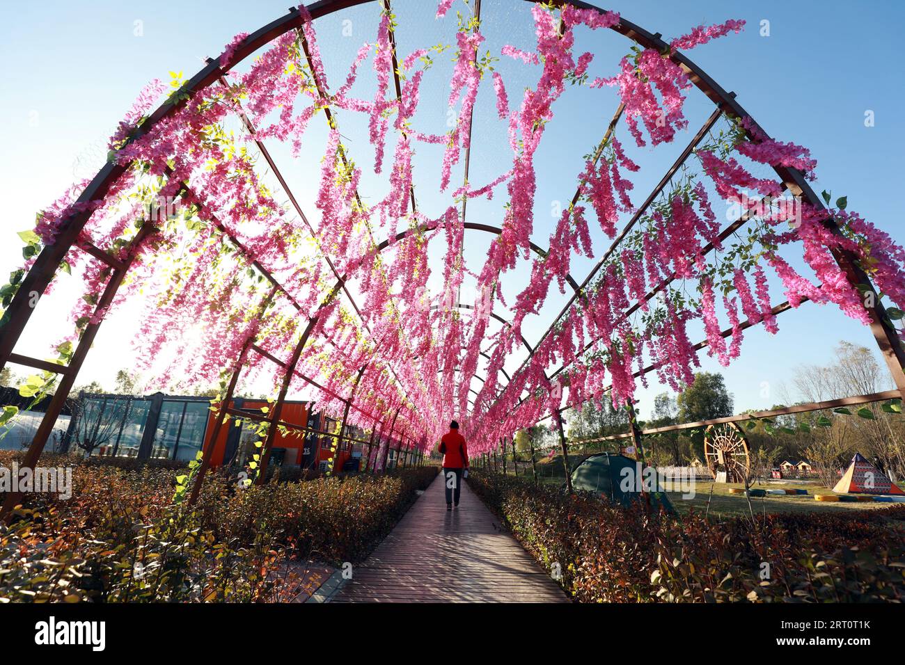 Flowers arched structure flower hi-res stock photography and images - Alamy