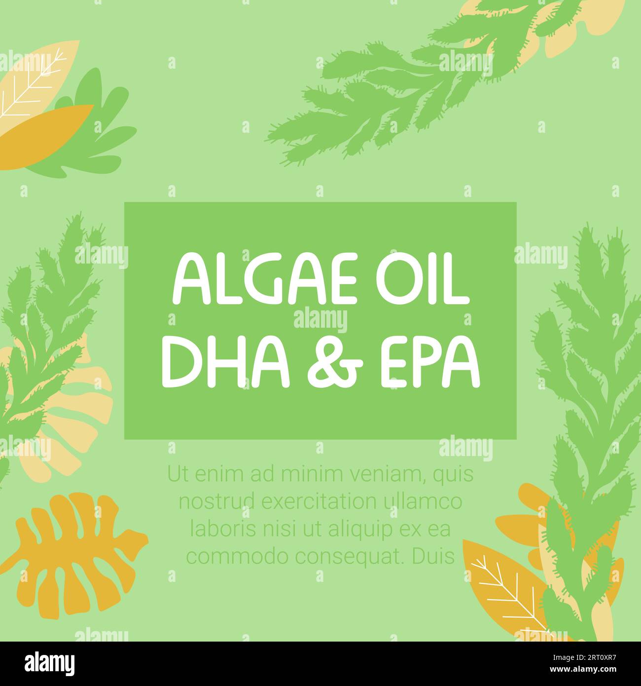 Organic and natural Algae oil DHA and EPA. Natural and healthy ...