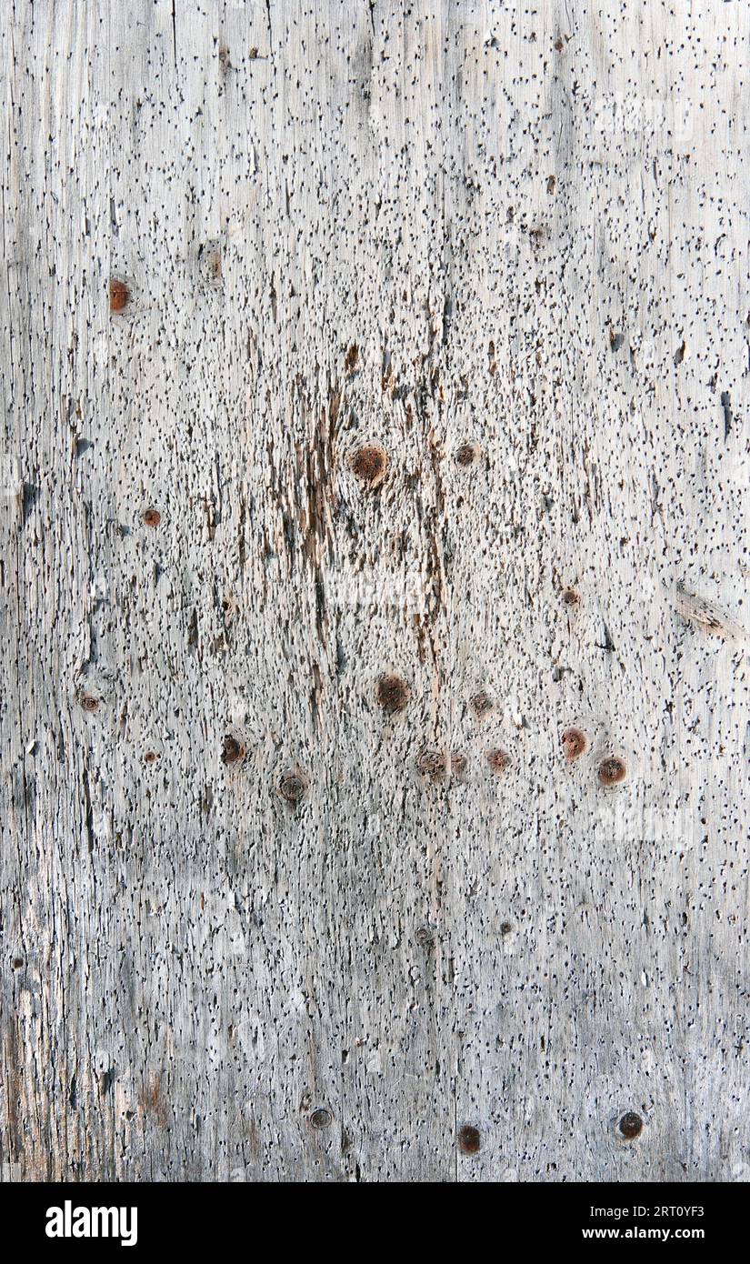 Old notice board hi-res stock photography and images - Alamy