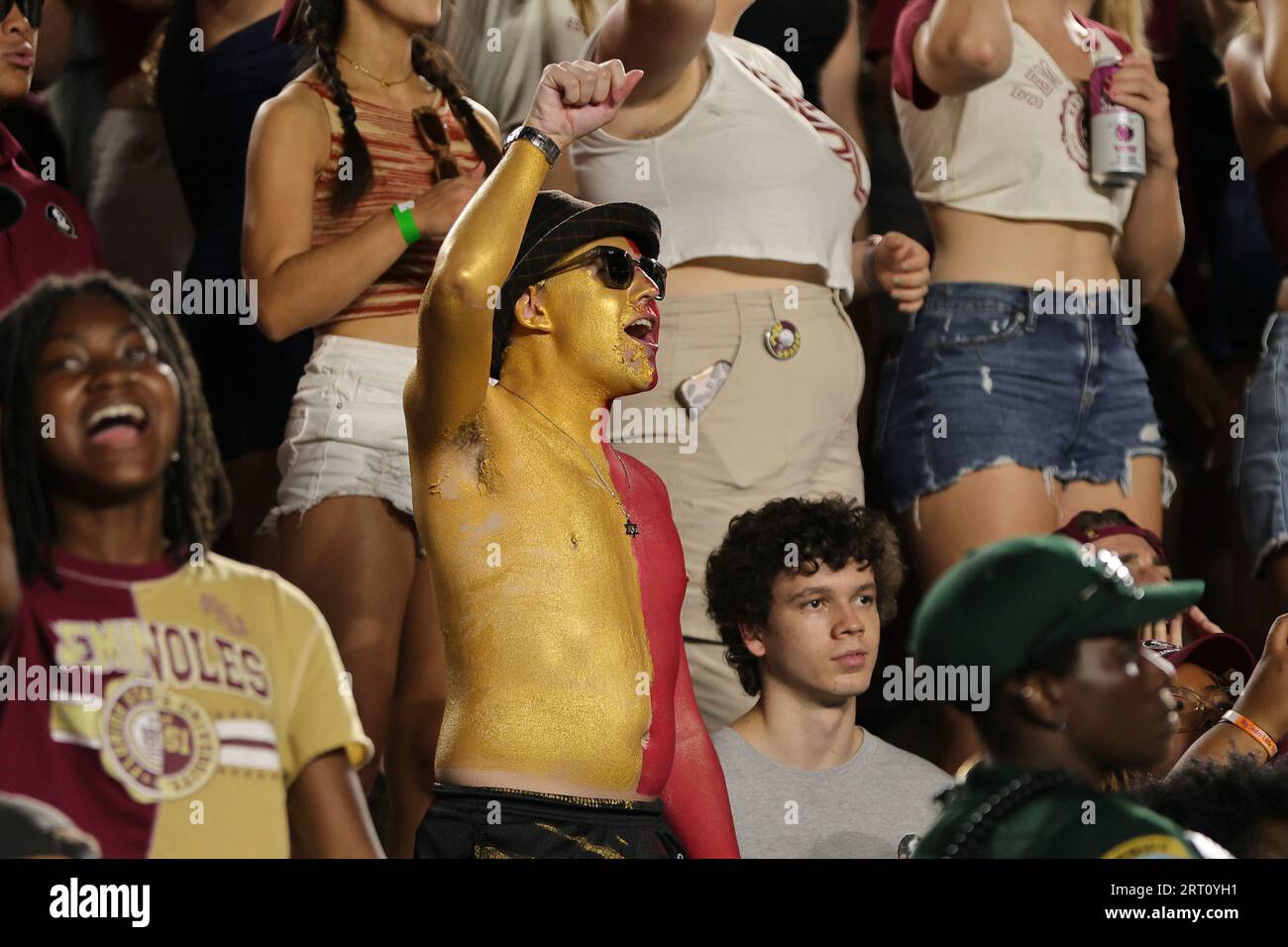 Florida state fans hi-res stock photography and images - Alamy