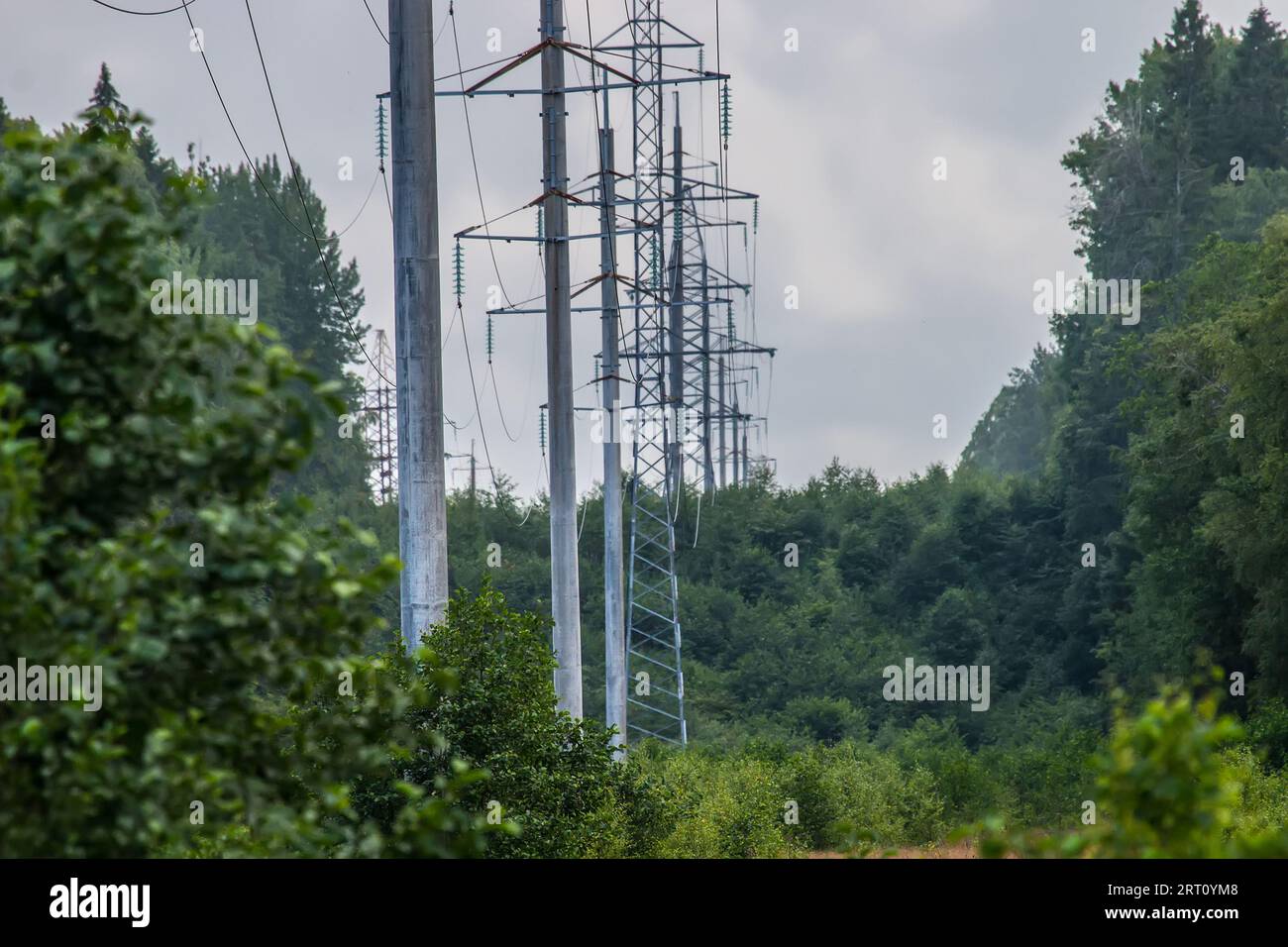 High voltage power line stretching through the forest Stock Photo - Alamy