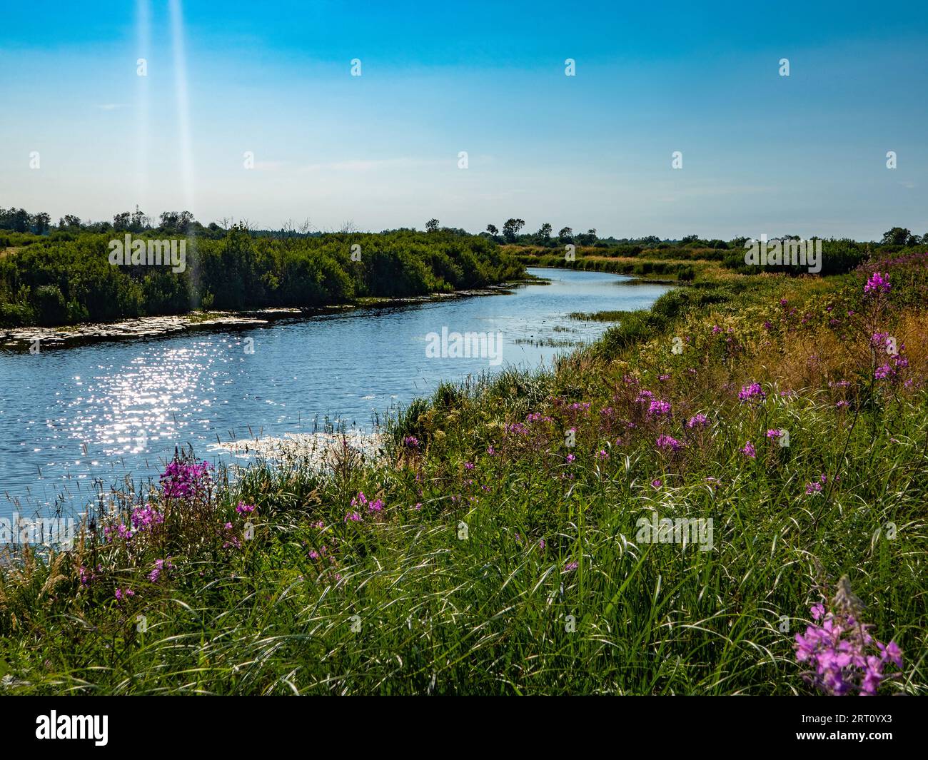 This small northern swamp river with a short course, slow current. The ...