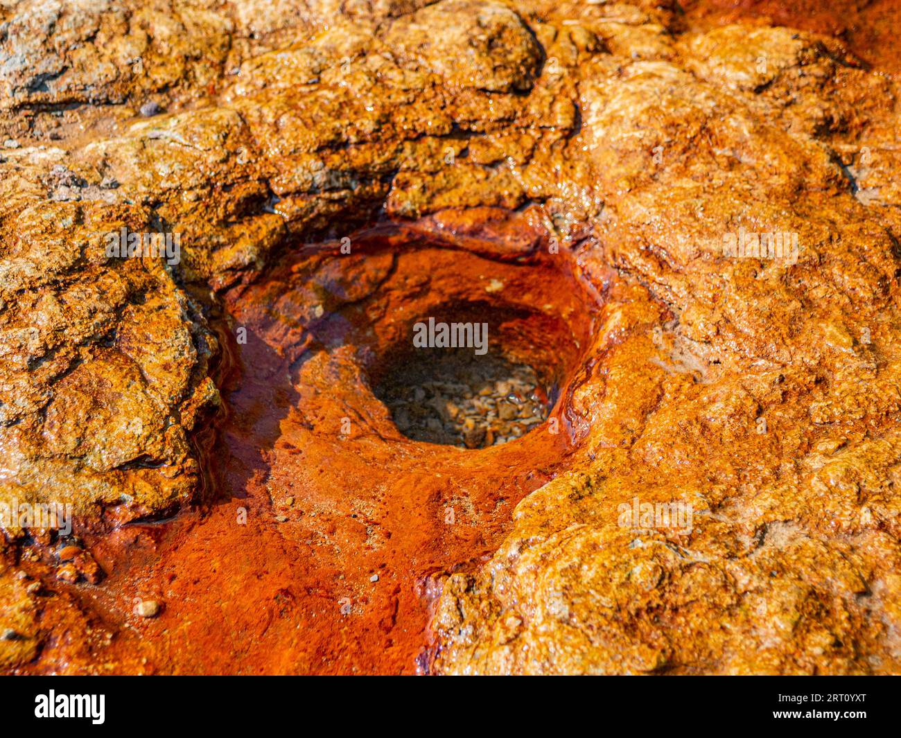 Mineral well from limestone deposits. Colonies of bacteria, cyenallae ...