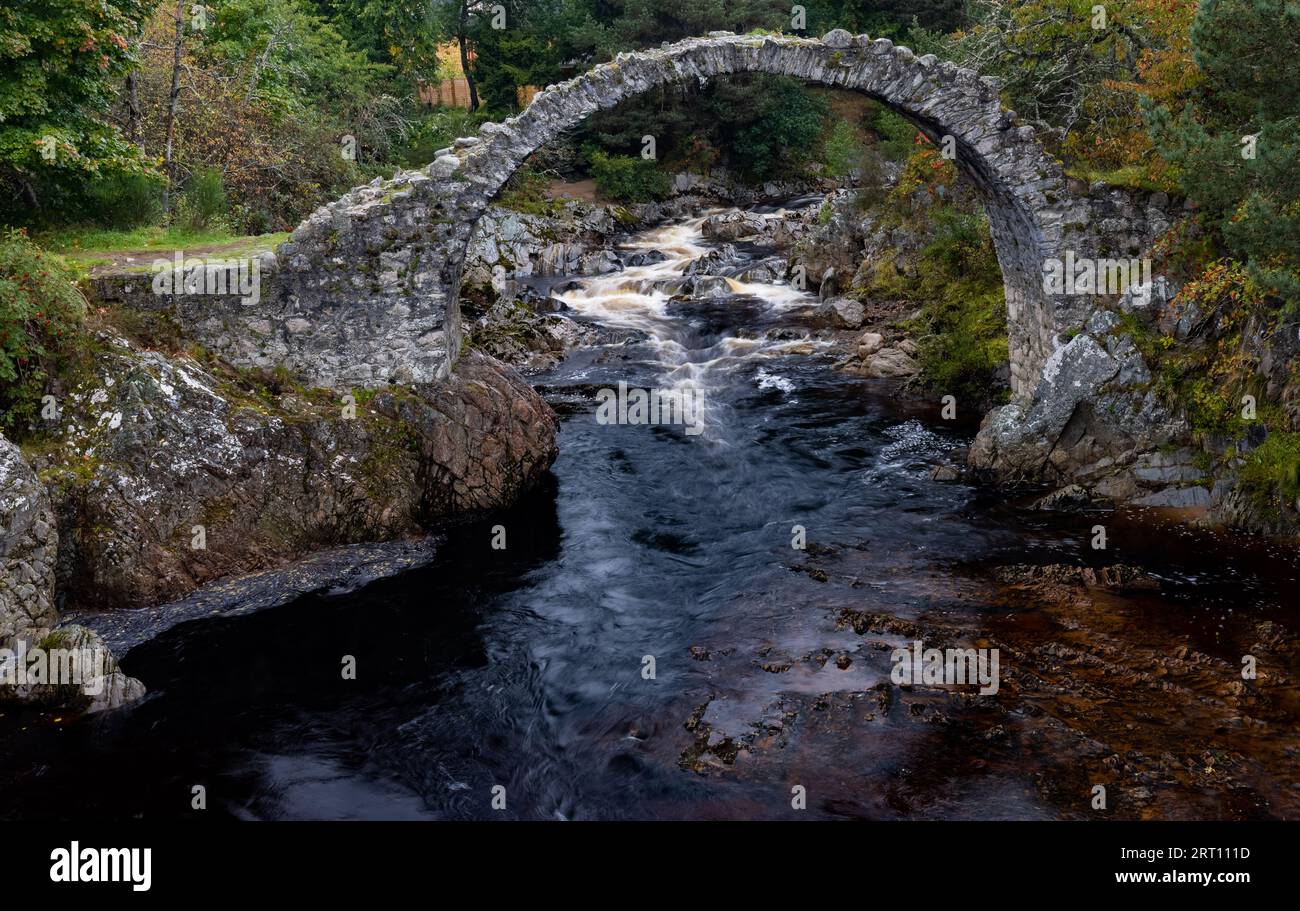 Carrbridge Packhorse Bridge inn the Highlands, Scotland, UK Stock Photo ...
