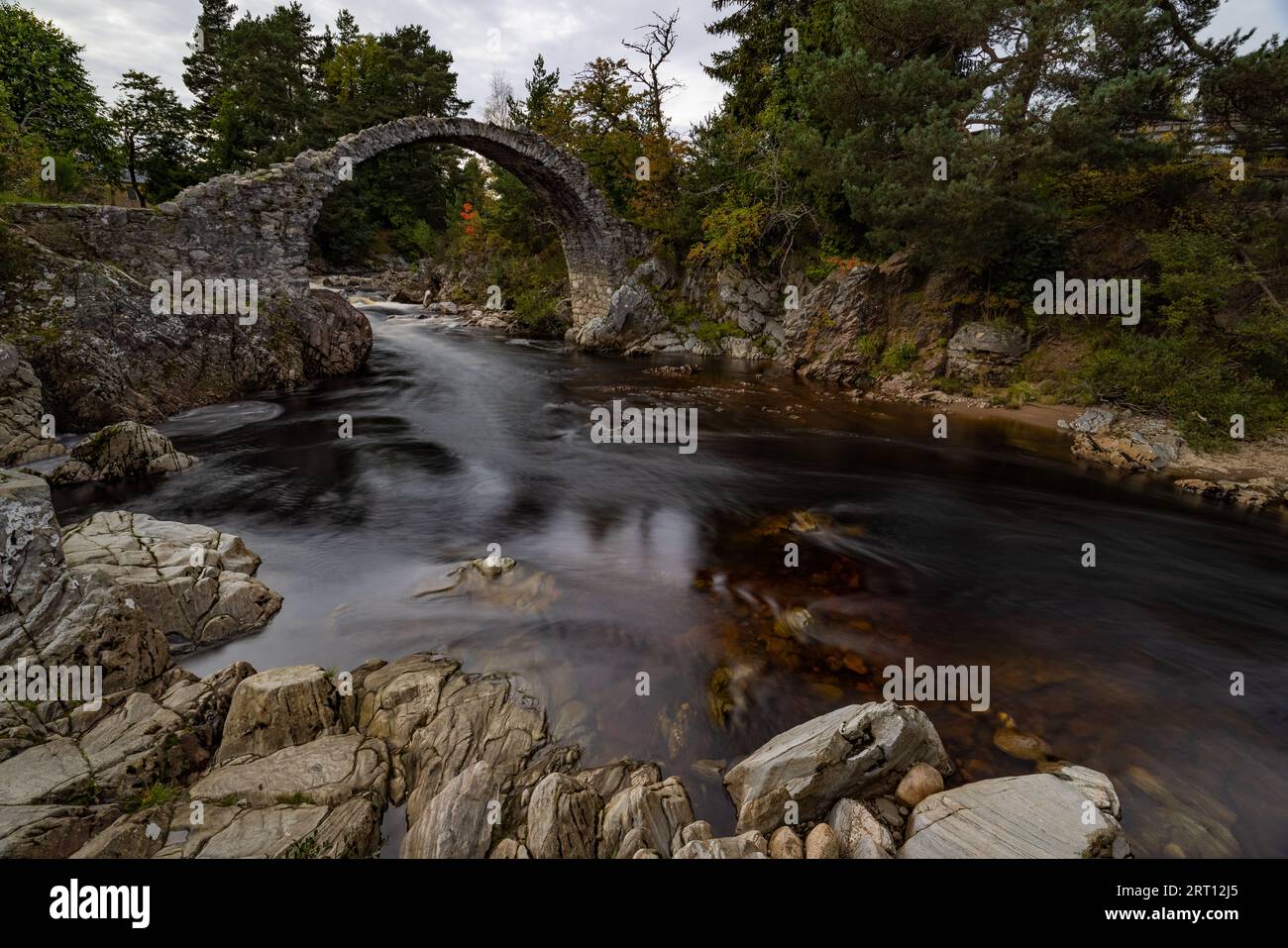 Carrbridge Packhorse Bridge inn the Highlands, Scotland, UK Stock Photo ...