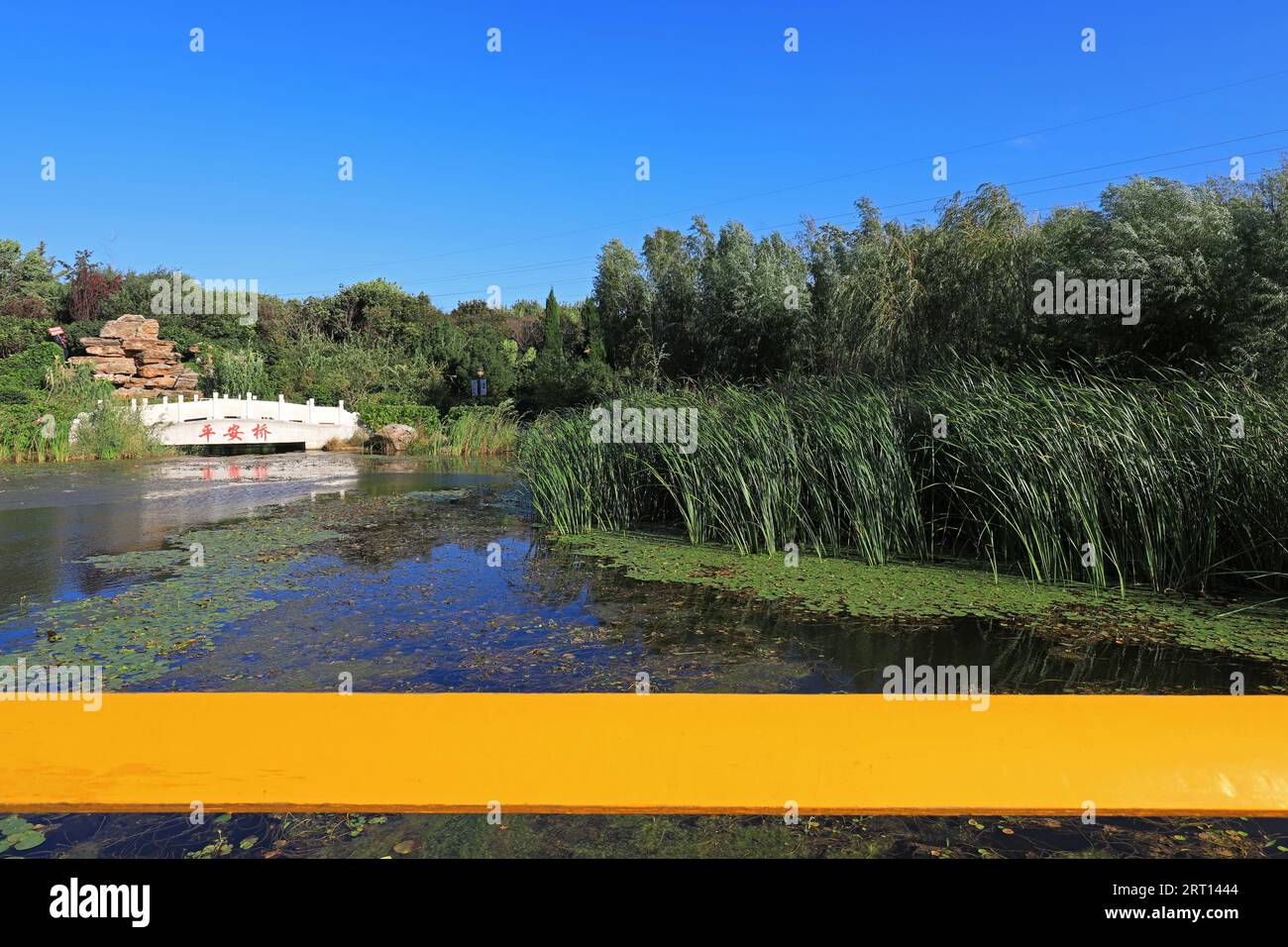 LUANNAN COUNTY, Hebei Province, China - September 16, 2020: The scarlet ...
