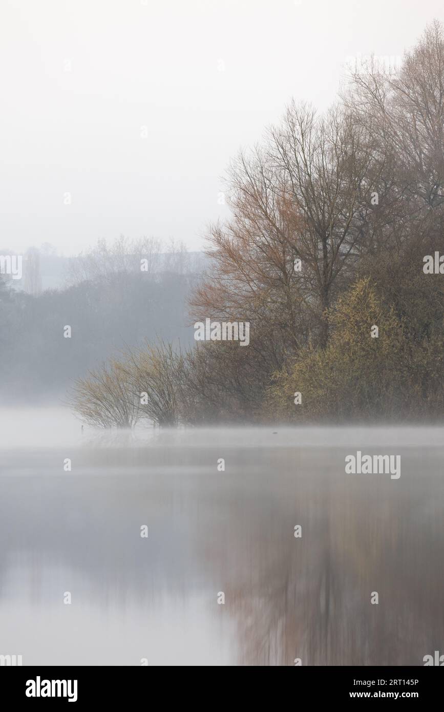 Misty morning trees at Chard reservoir, Somerset, UK Stock Photo - Alamy