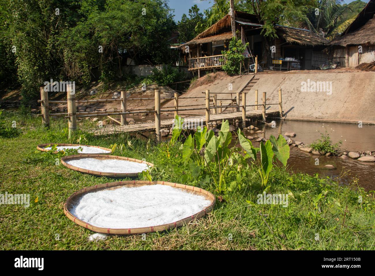 Drying salt crystals in the sun on the river bank in the village ...