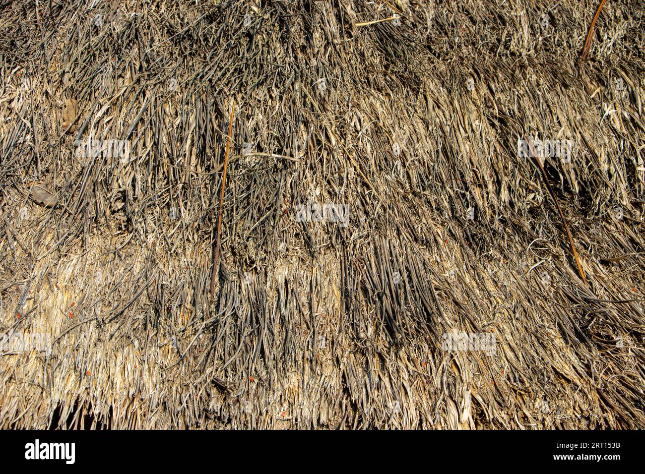 Bungalow straw roof hi-res stock photography and images - Alamy