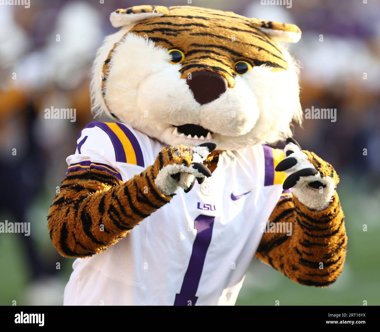 University Of Lsu Mascot Mike The Tiger LSU Tigers Mascot Bighead