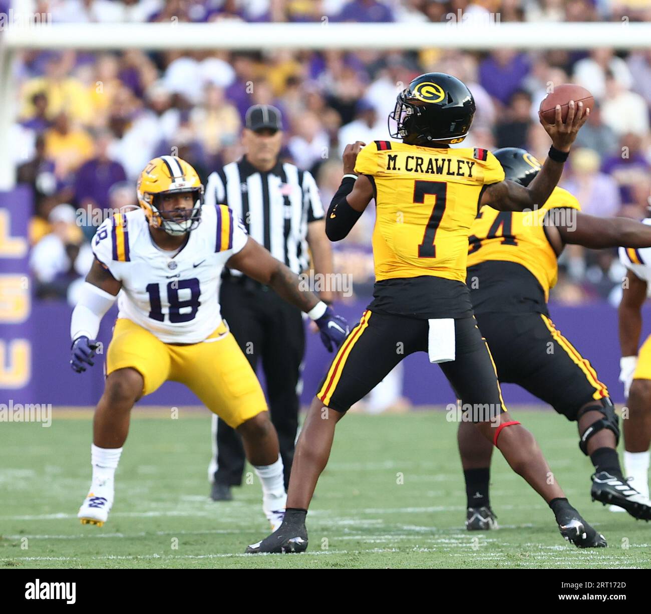 Grambling tiger hi-res stock photography and images - Alamy