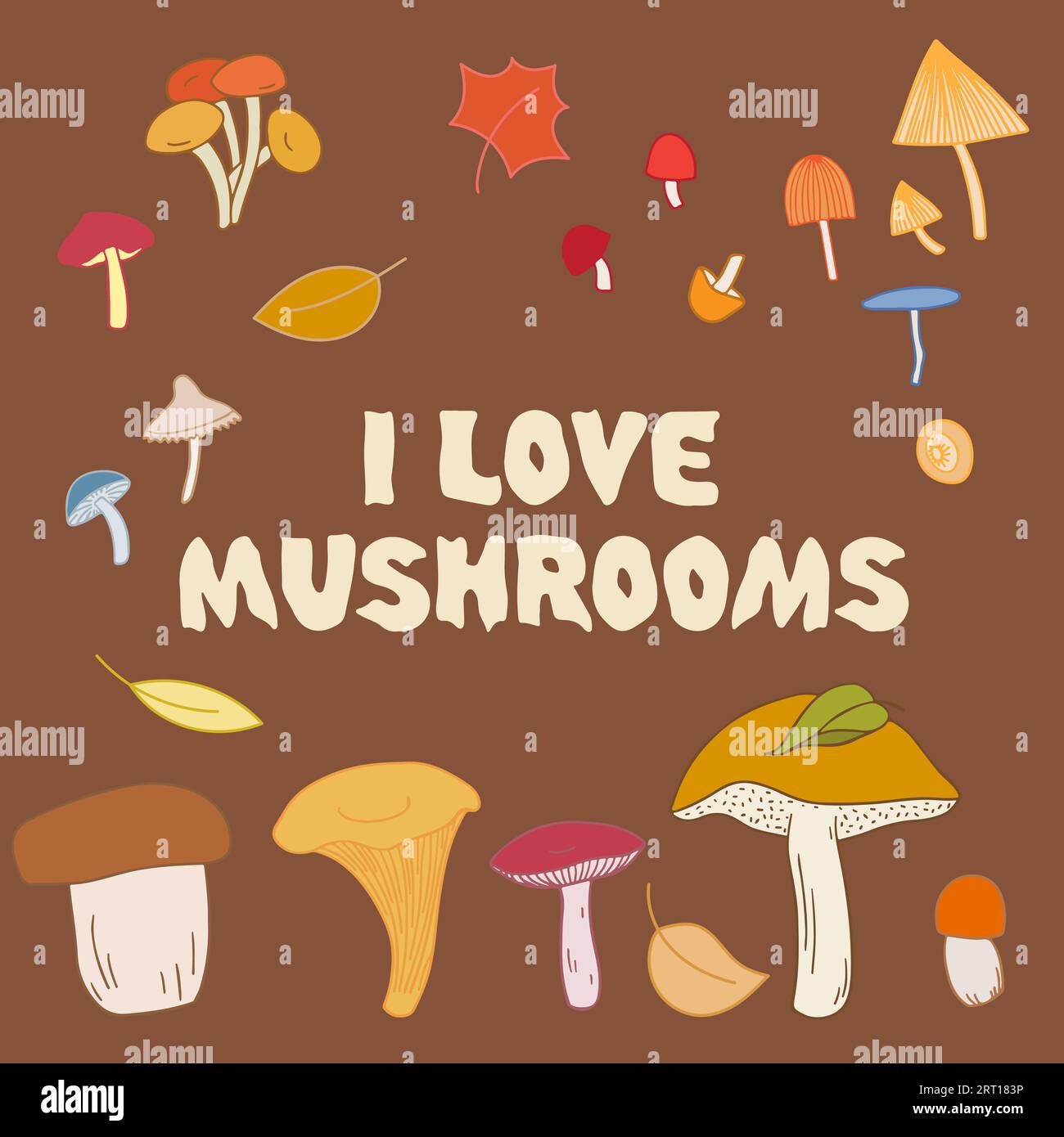 I Love Mushrooms hand drawn warp text and mushrooms illustration Stock Vector Image & Art - Alamy