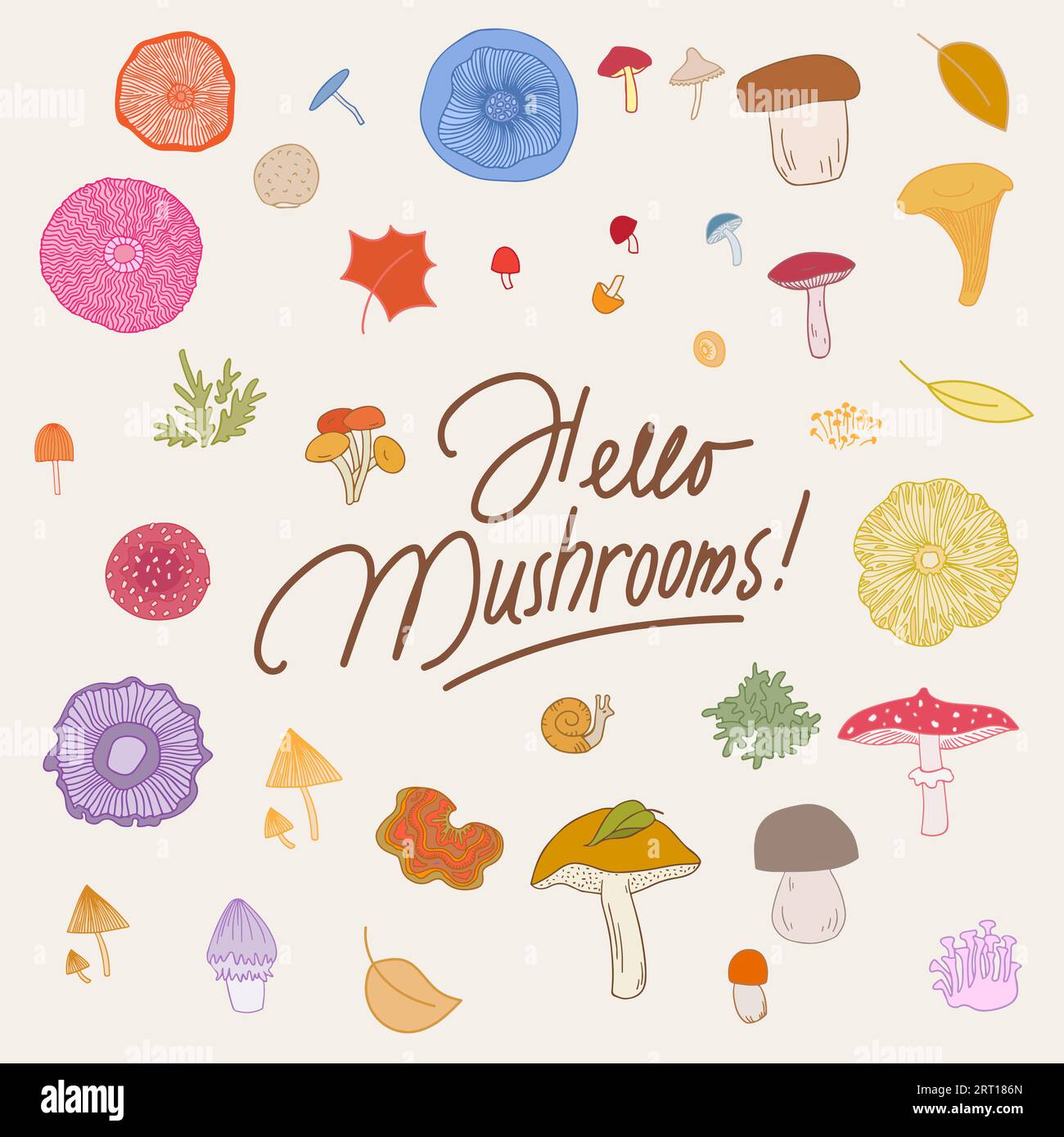 Hello Mushrooms hand written text and mushrooms illustration set Stock ...