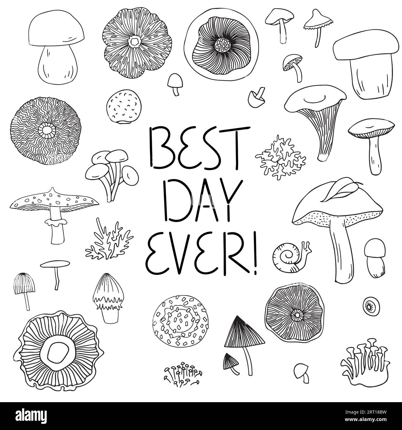 Best Day Ever hand drawn lettering and mushrooms set. Black and white ...