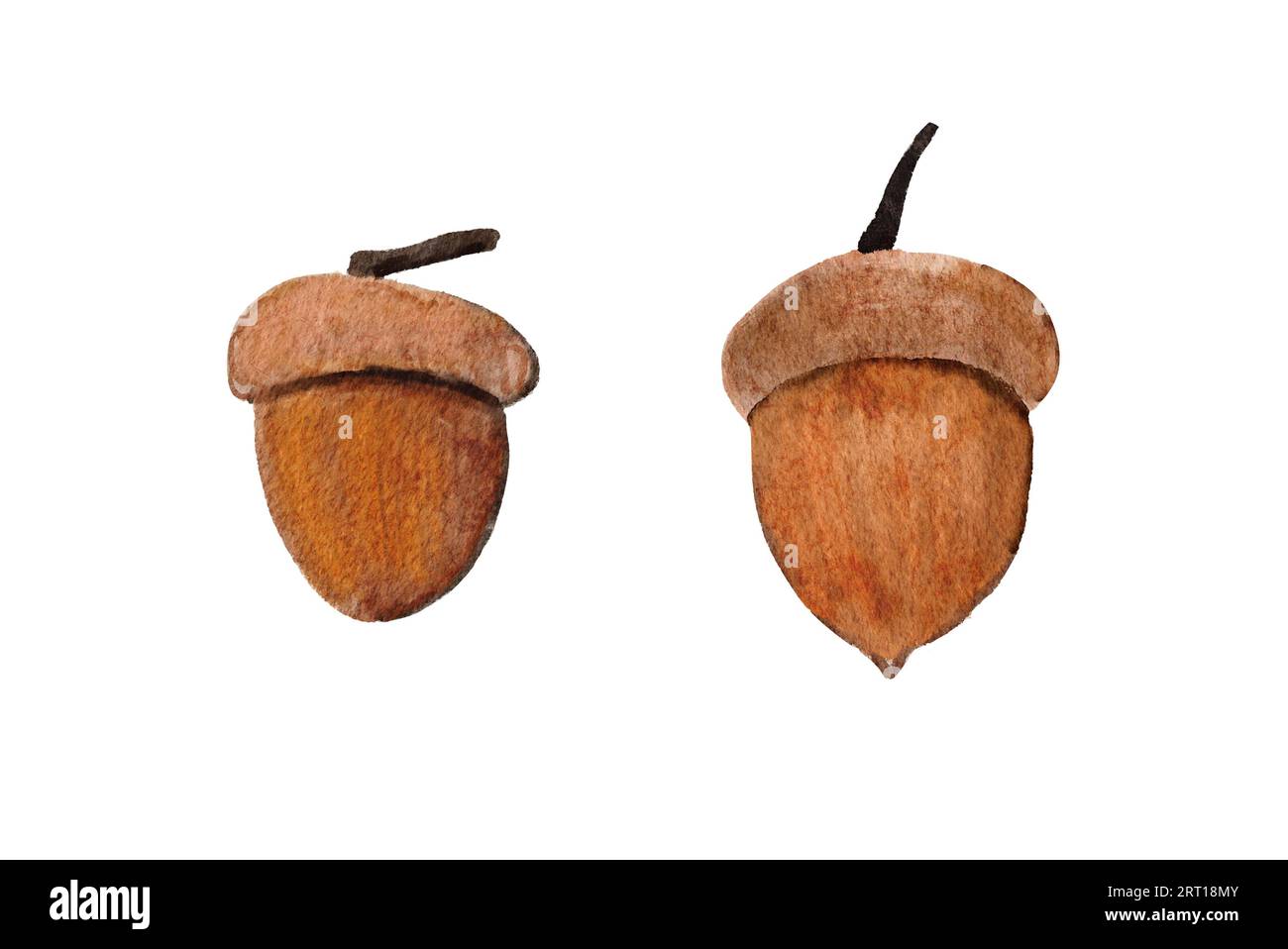 watercolor hand drawn illustration with vintage brown fall autumn ...