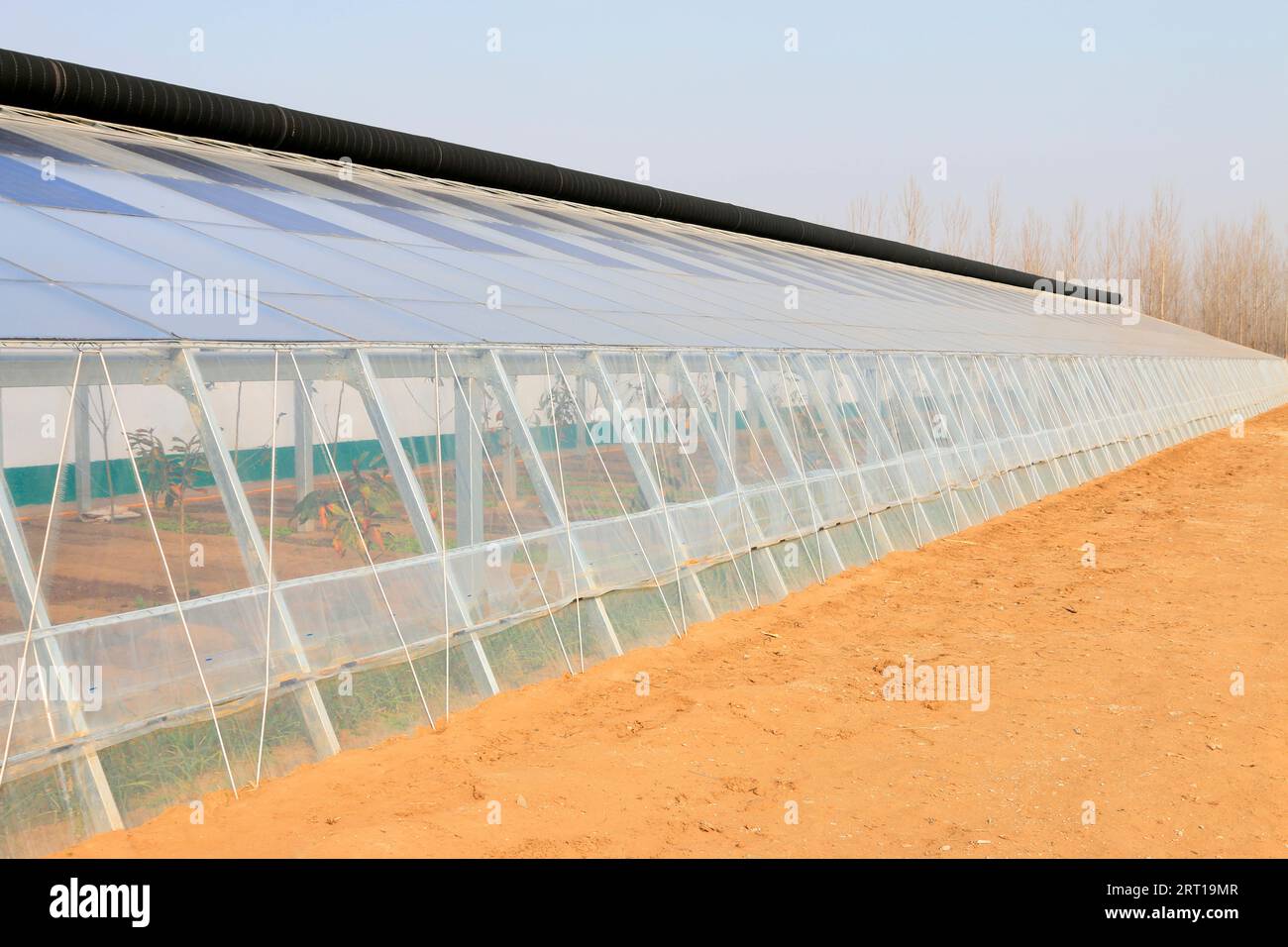 Greenhouses design hi-res stock photography and images - Alamy
