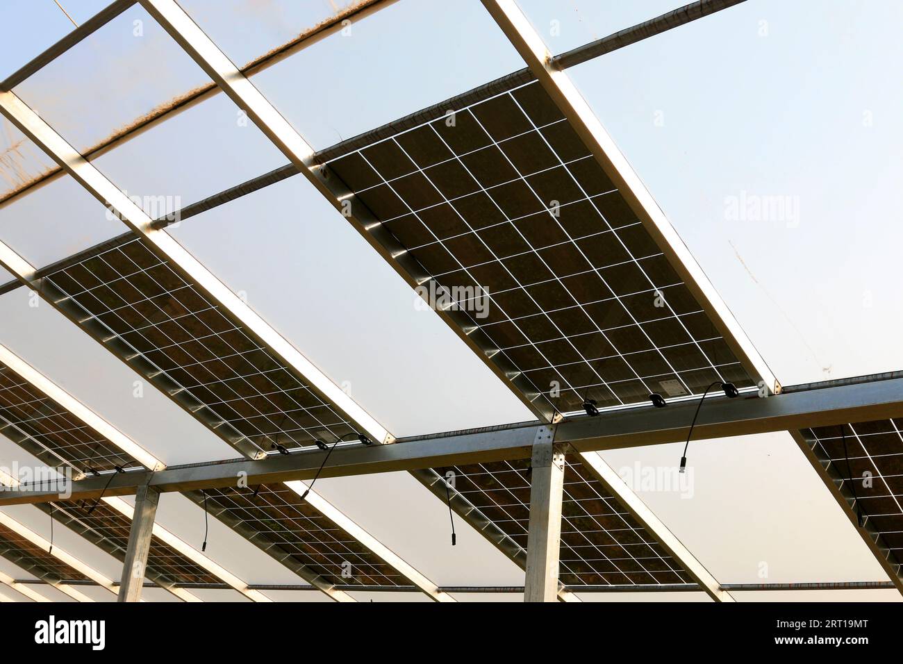 Lines of greenhouses hi-res stock photography and images - Alamy
