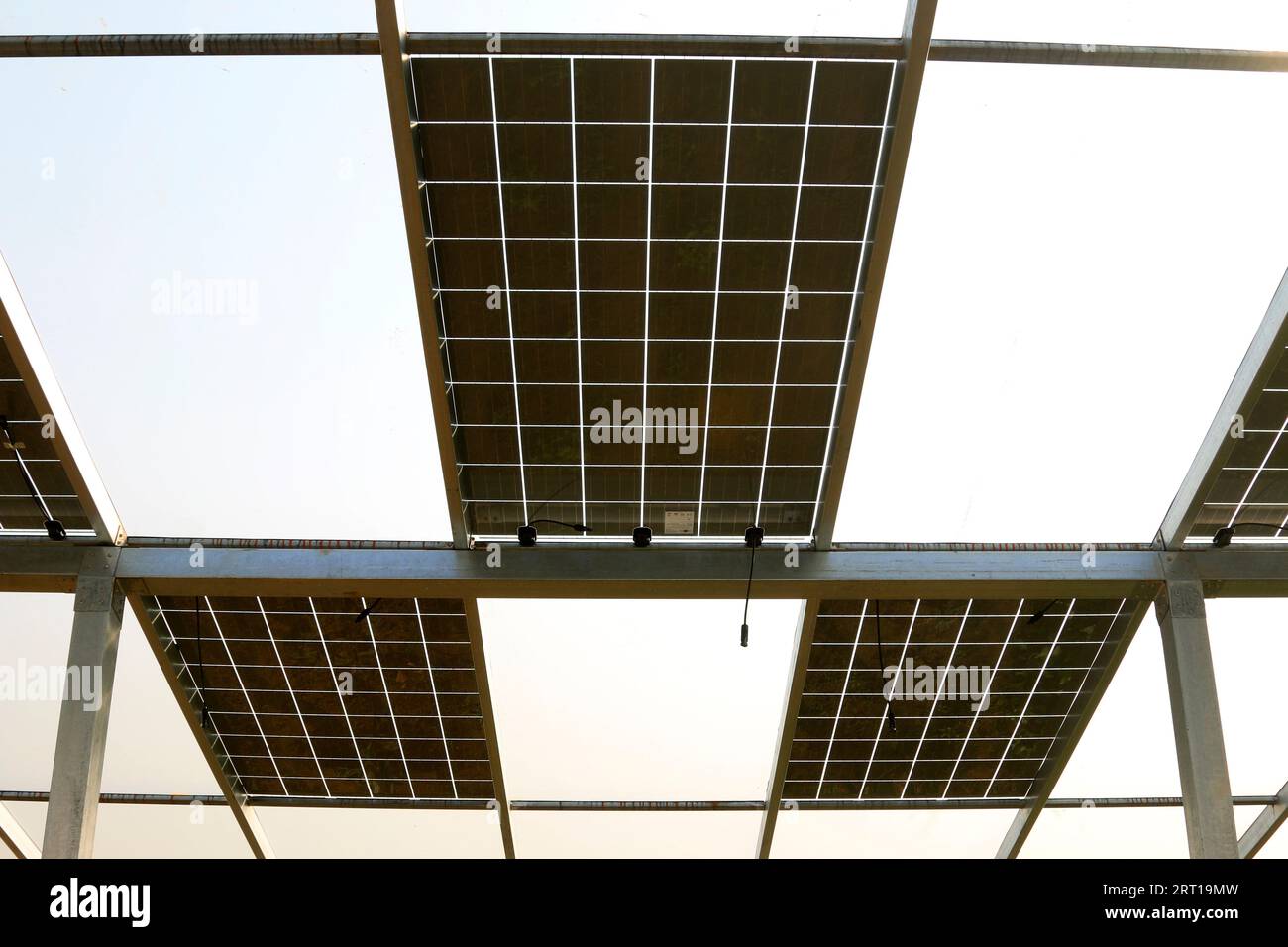 solar greenhouses, solar pv glass in a farm Stock Photo - Alamy