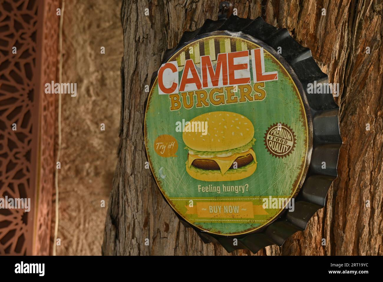 Luxury camel logo hi-res stock photography and images - Alamy