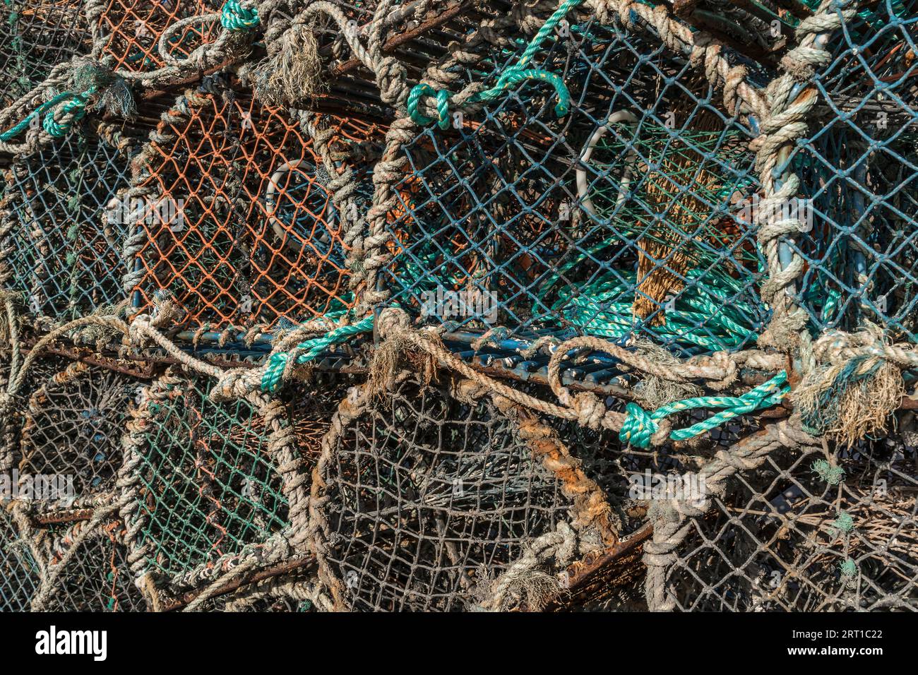Lobster pot entrance hi-res stock photography and images - Alamy