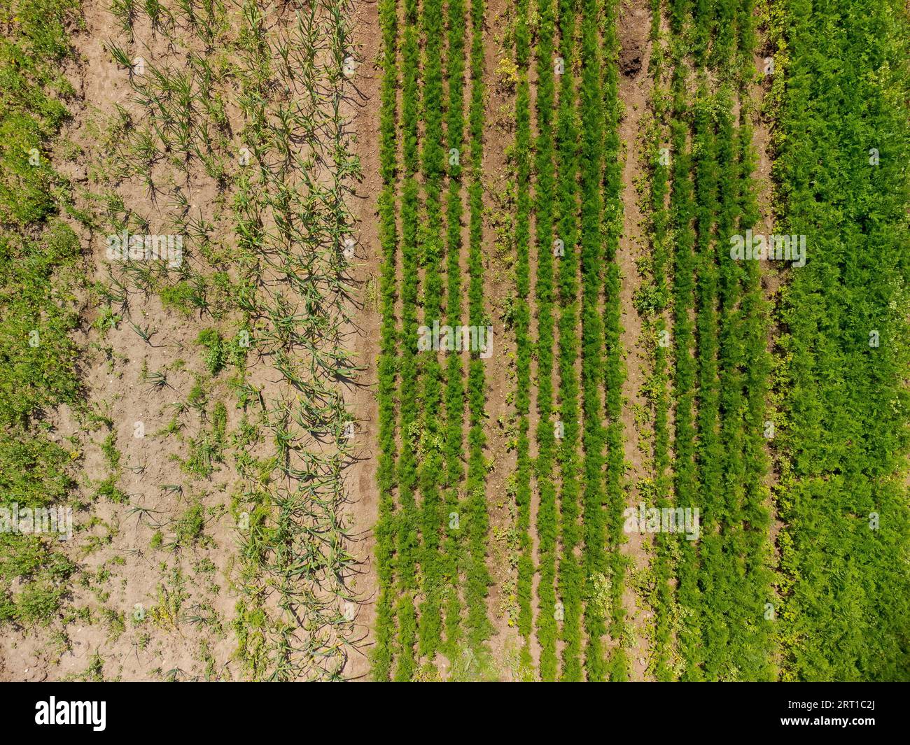 Aerial view of acre hi-res stock photography and images - Alamy