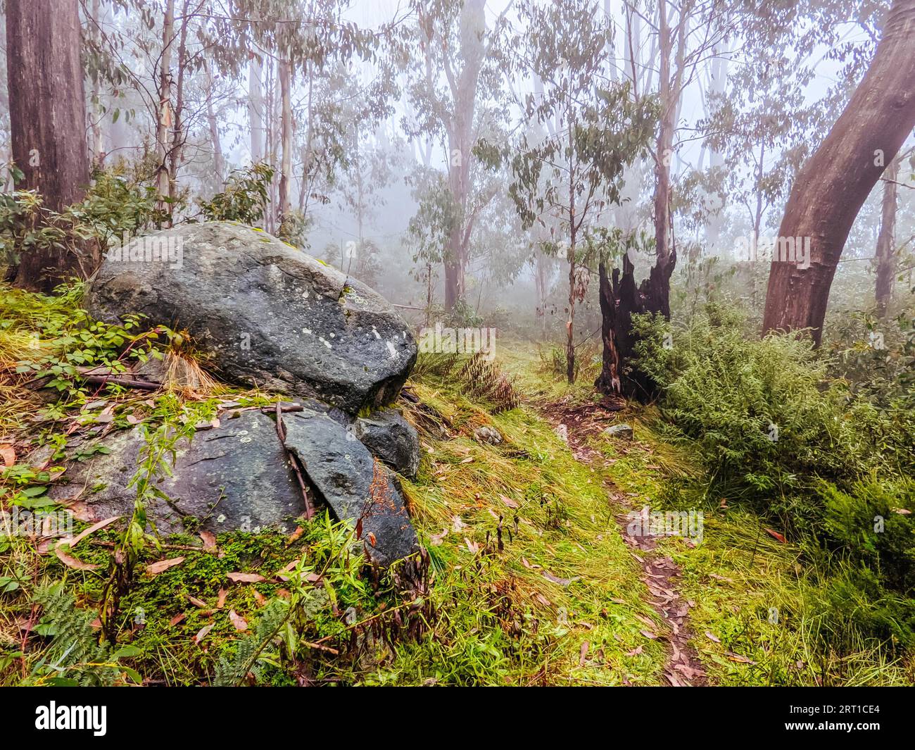 The popular Lake Mountain bike park with Cascades Trail near Marysville ...