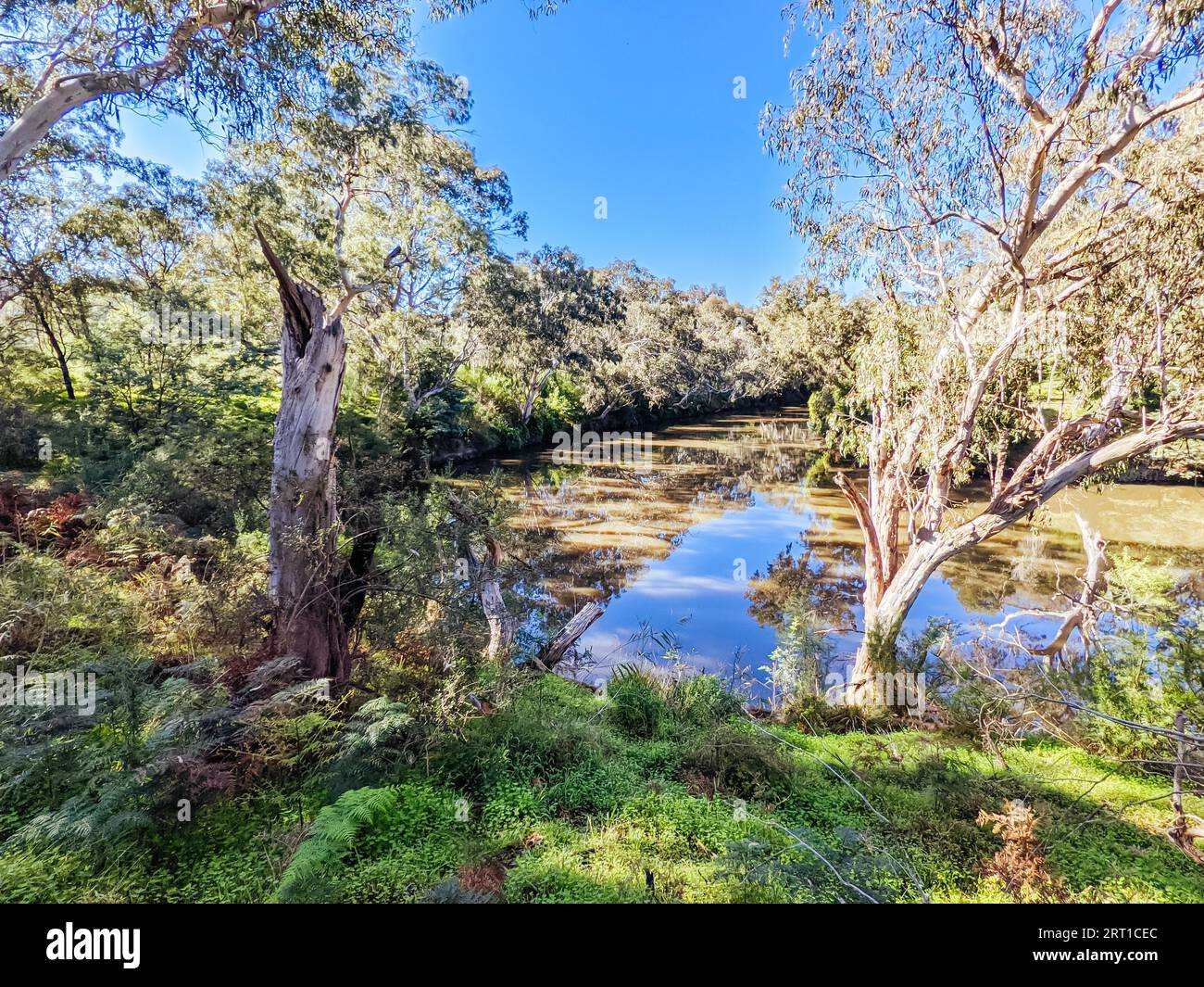 Mountain bike and walking trails along the Yarra River thru Westerfolds ...