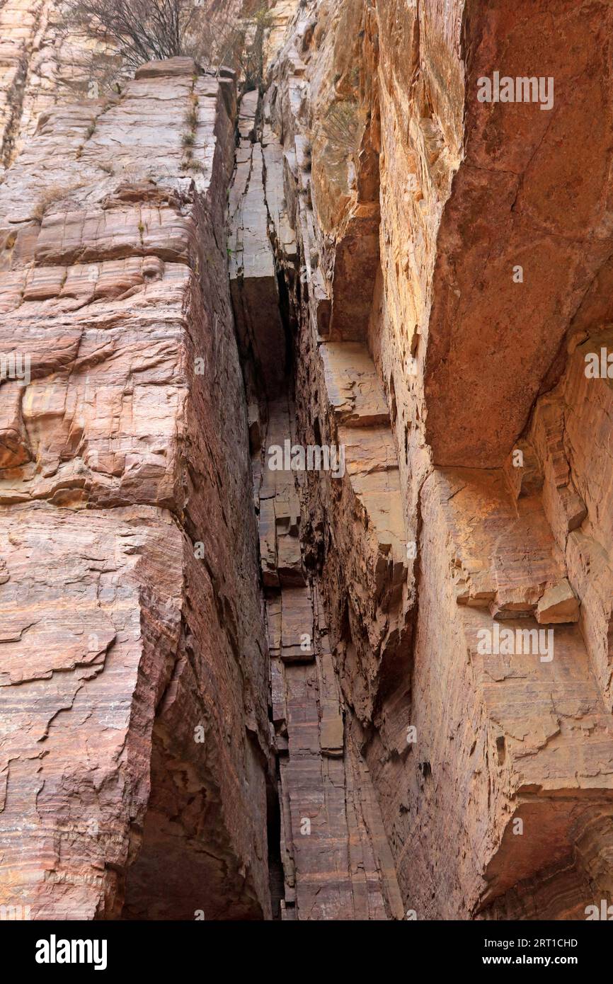 Canyon fissure in the wild Stock Photo - Alamy